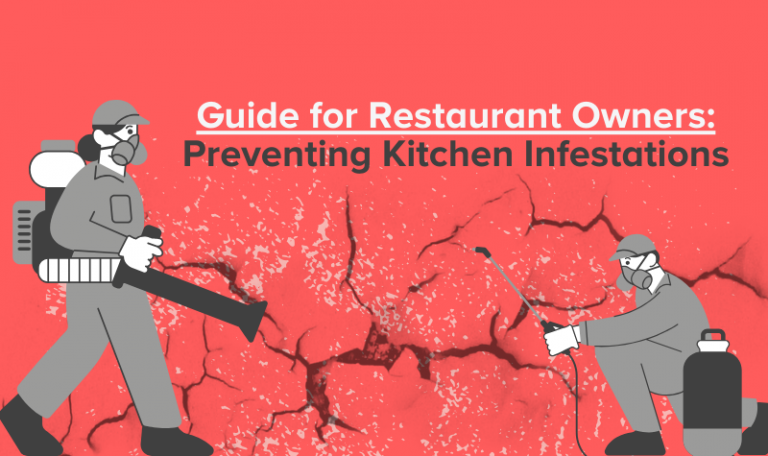 A Comprehensive Guide for Restaurant Owners: Preventing Kitchen ...